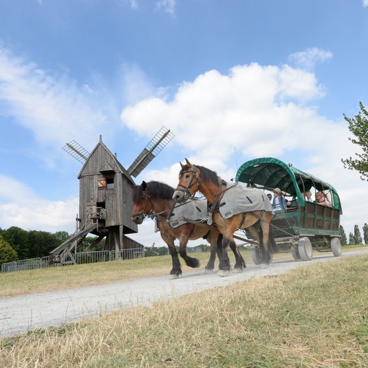 LWL | Barrierearmer und inklusiver Besuch - LWL-Museum Hellerlecht ...