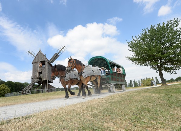 LWL | Kutschfahrten im Freilichtgelände - LWL-Museum Hellerlecht | Detmold